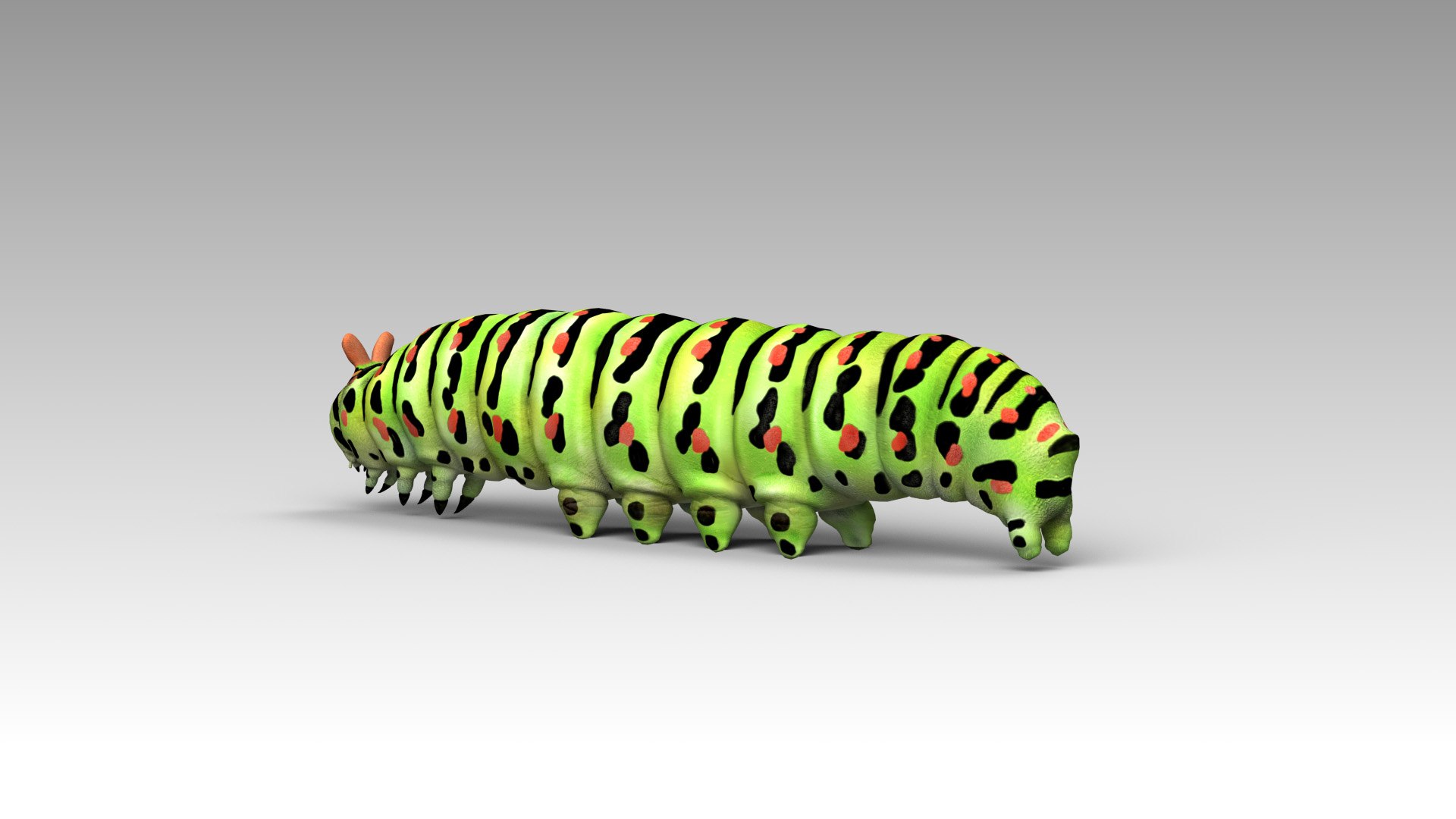 3d model caterpillar