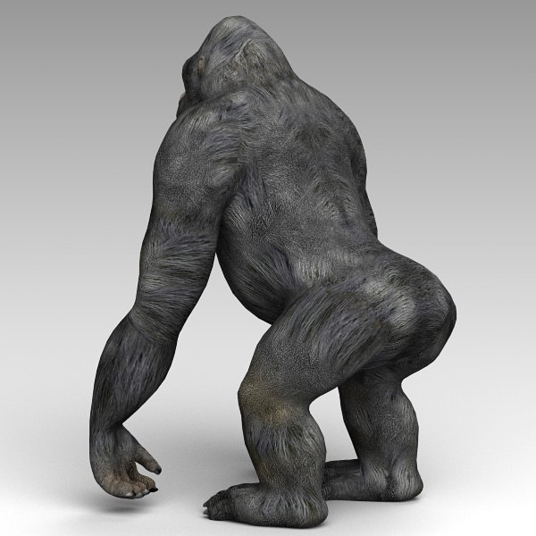 3d gorilla monkey model