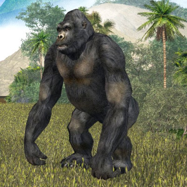 3d gorilla monkey model