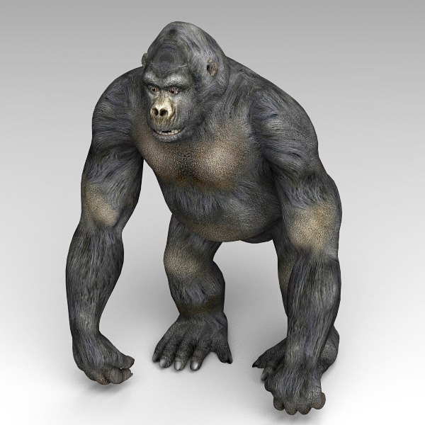3d gorilla monkey model
