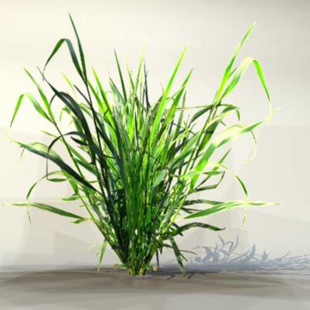 3ds max grass pc ps3