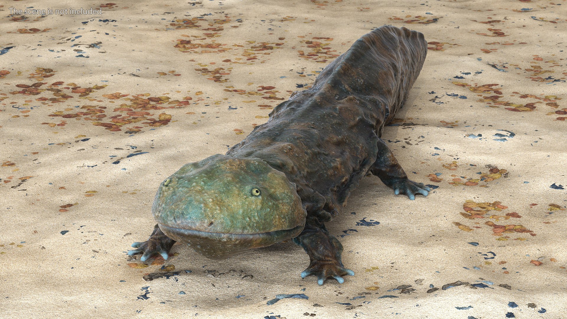 Aquatic Salamander Light Wet Rigged For Maya 3D Model - TurboSquid 2259035