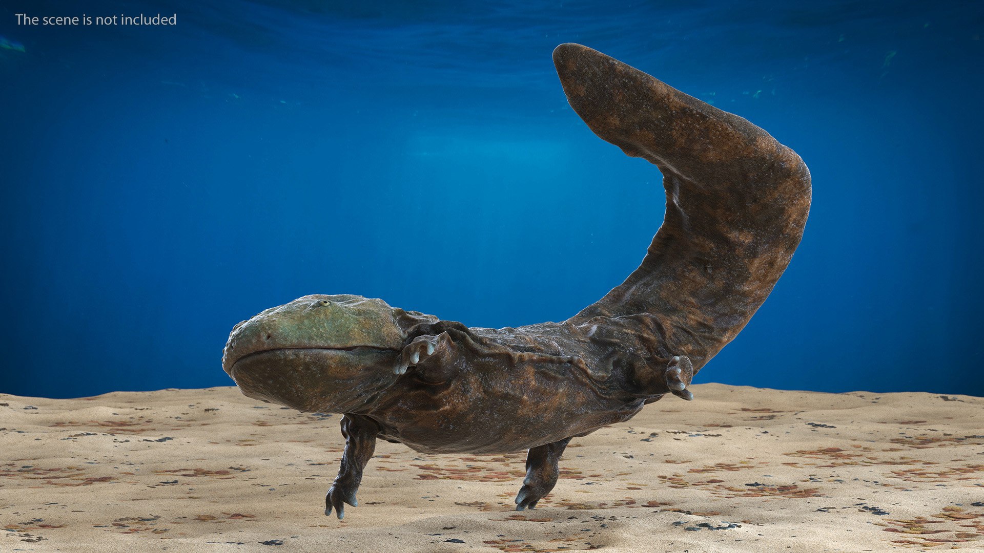 Aquatic Salamander Light Wet Rigged For Maya 3D Model - TurboSquid 2259035