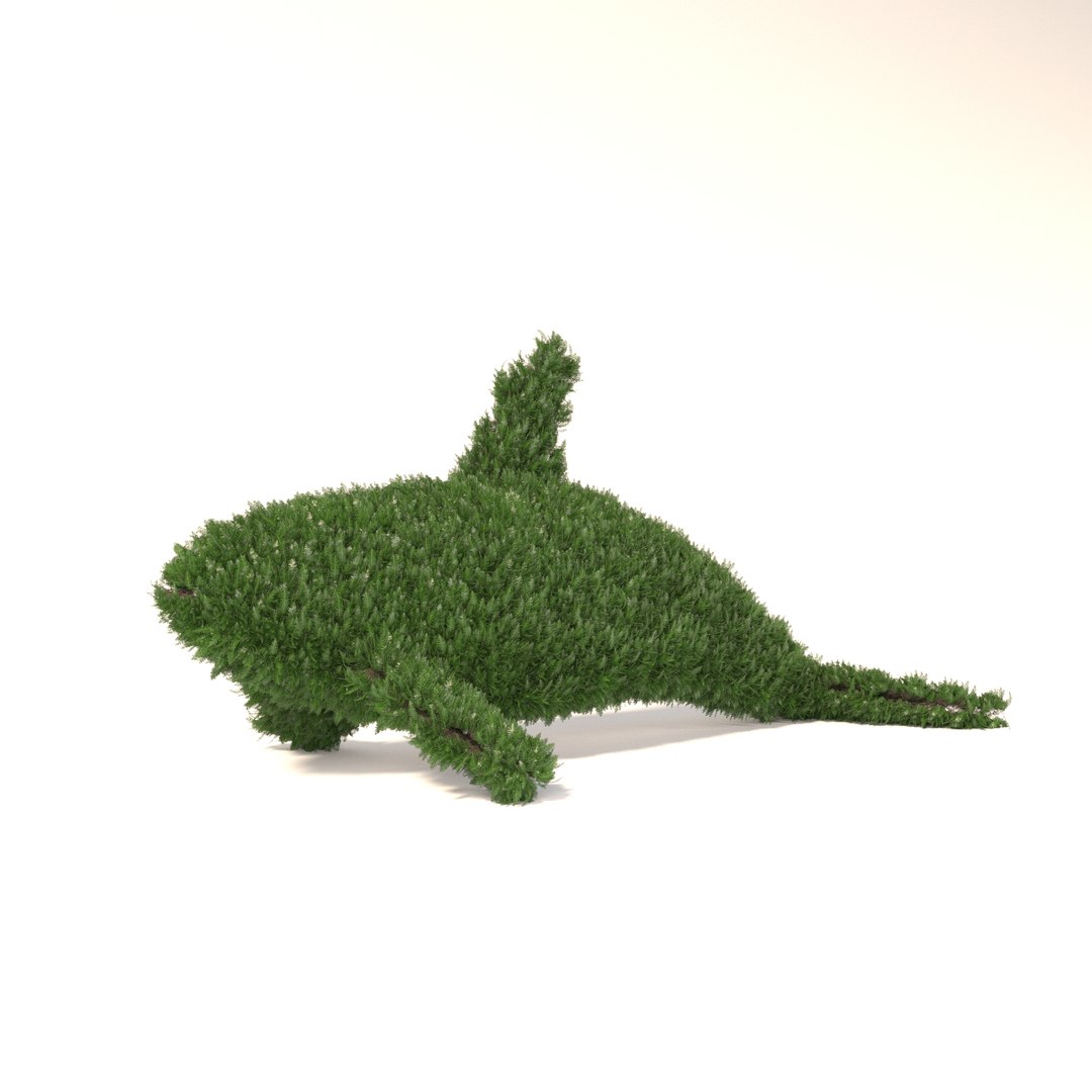 Bush Orka Model - TurboSquid 1900509