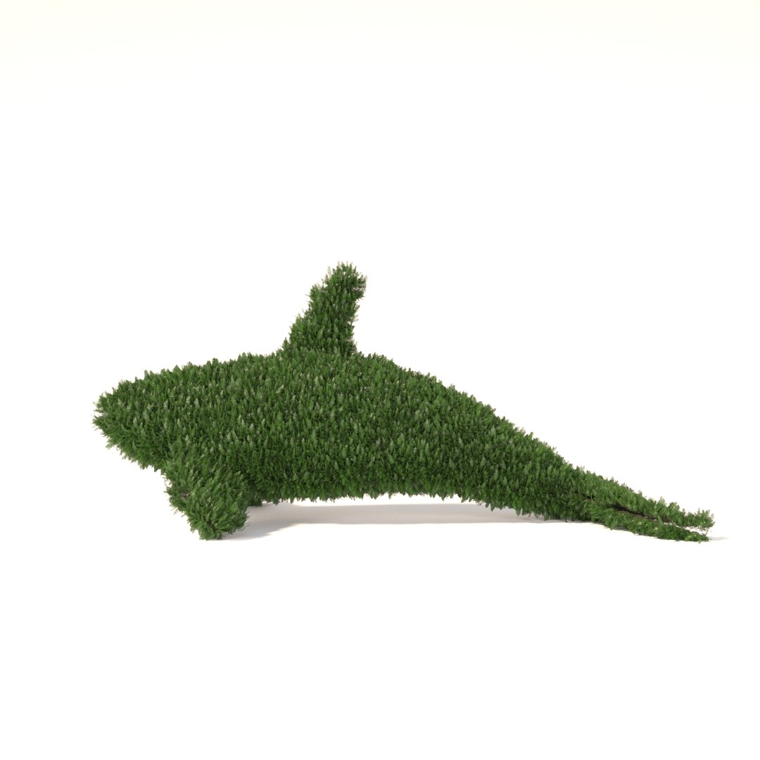 Bush Orka Model - TurboSquid 1900509