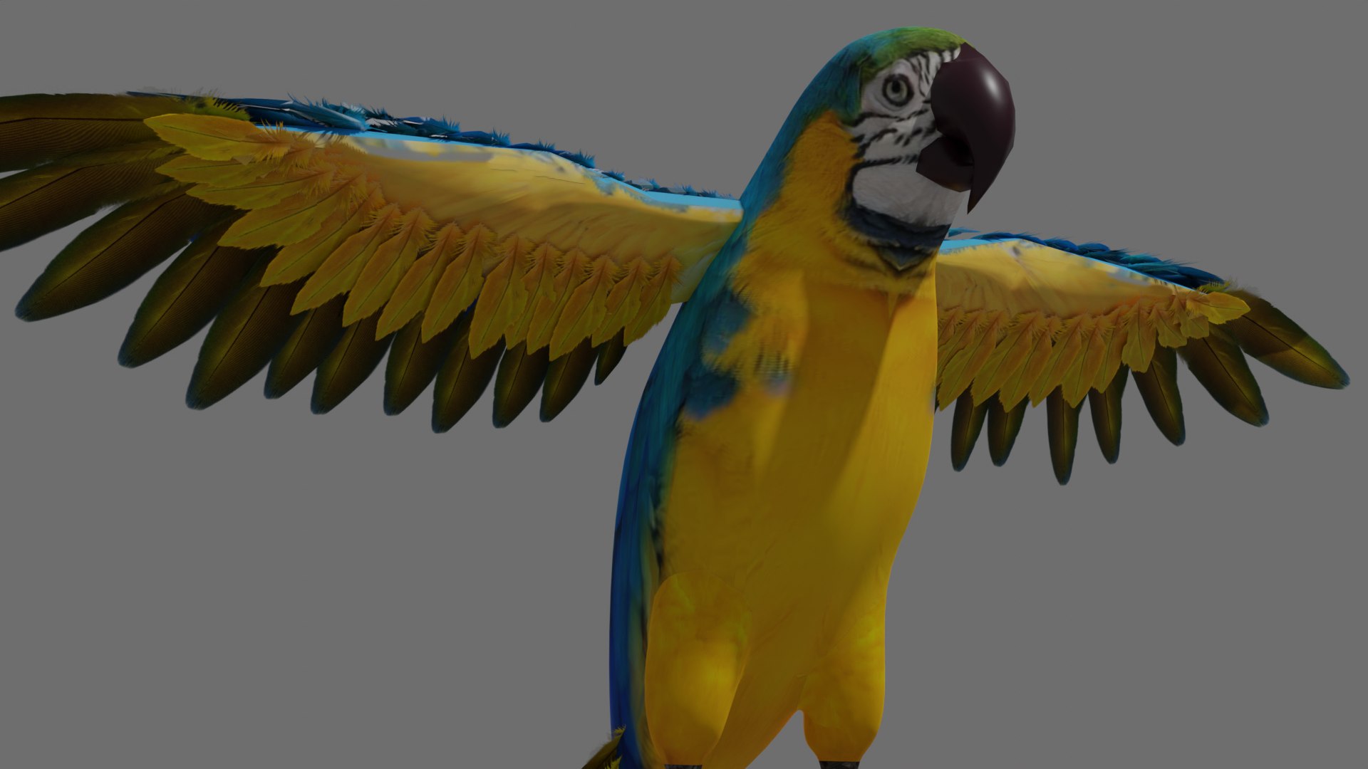 Macaw Parrot Model - TurboSquid 2131740