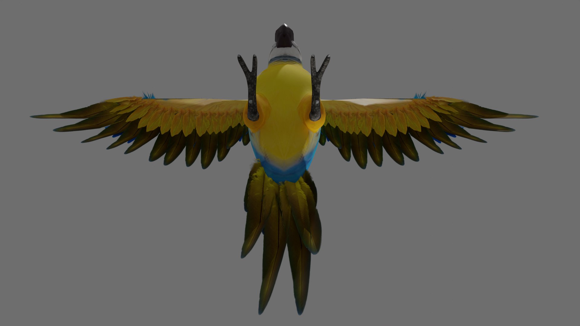 Macaw Parrot Model - TurboSquid 2131740