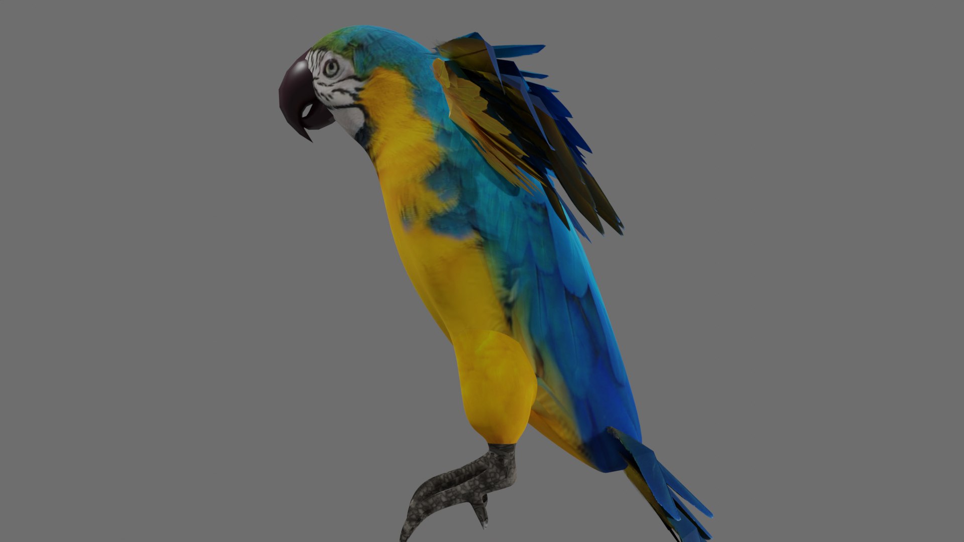 Macaw Parrot Model - TurboSquid 2131740