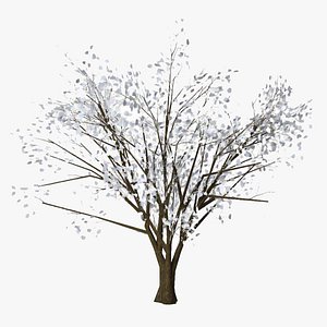 Almond Tree 3D Models for Download | TurboSquid