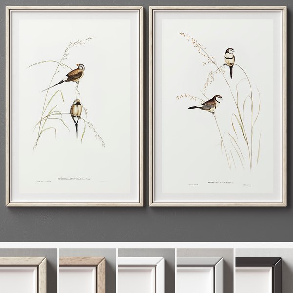 Picture Frames Set-353 3D 모델 - TurboSquid 1941826