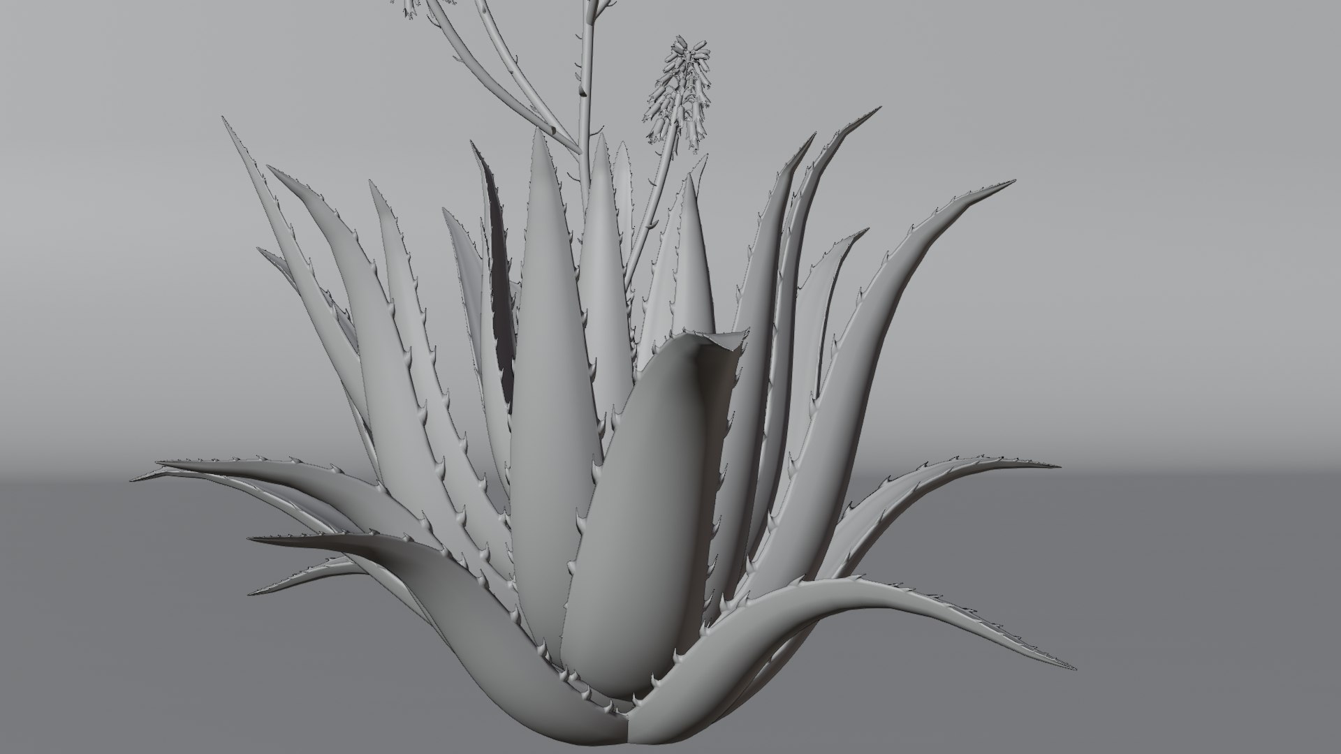 3D ALOE VERA PLANT Model - TurboSquid 2141257