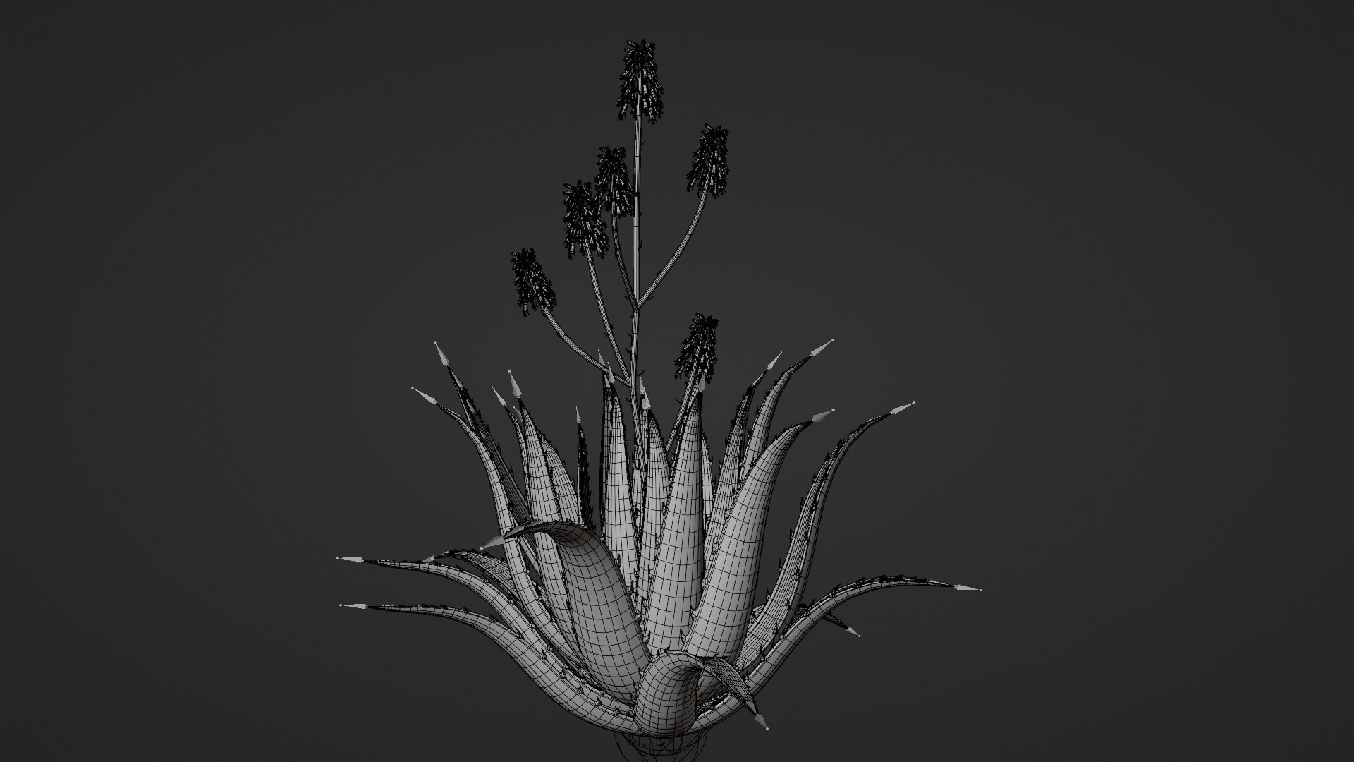 3D ALOE VERA PLANT Model - TurboSquid 2141257