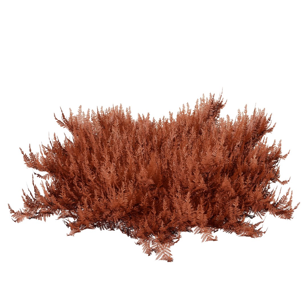 Creeping juniper model - TurboSquid 2174671