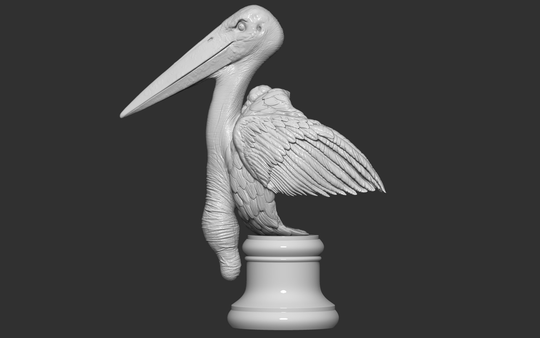 Marabou Stork 3D Model - TurboSquid 1783930