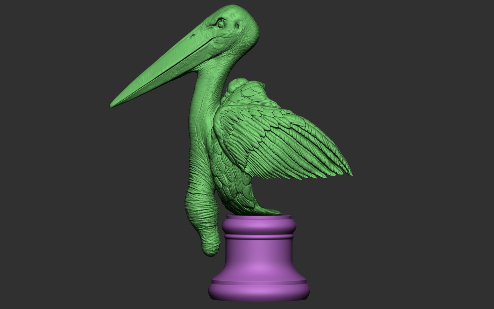 Marabou Stork 3D Model - TurboSquid 1783930