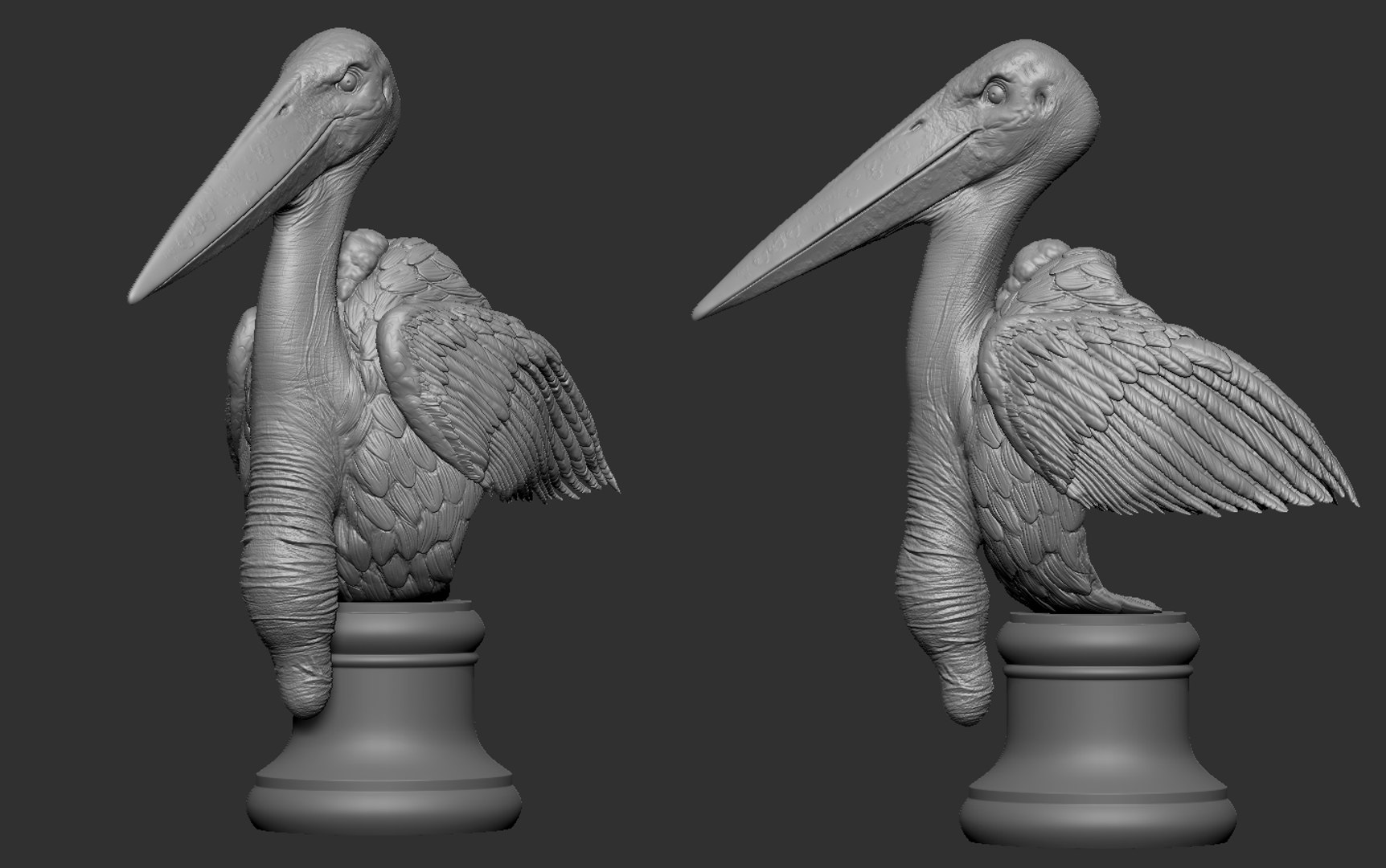 Marabou Stork 3D Model - TurboSquid 1783930