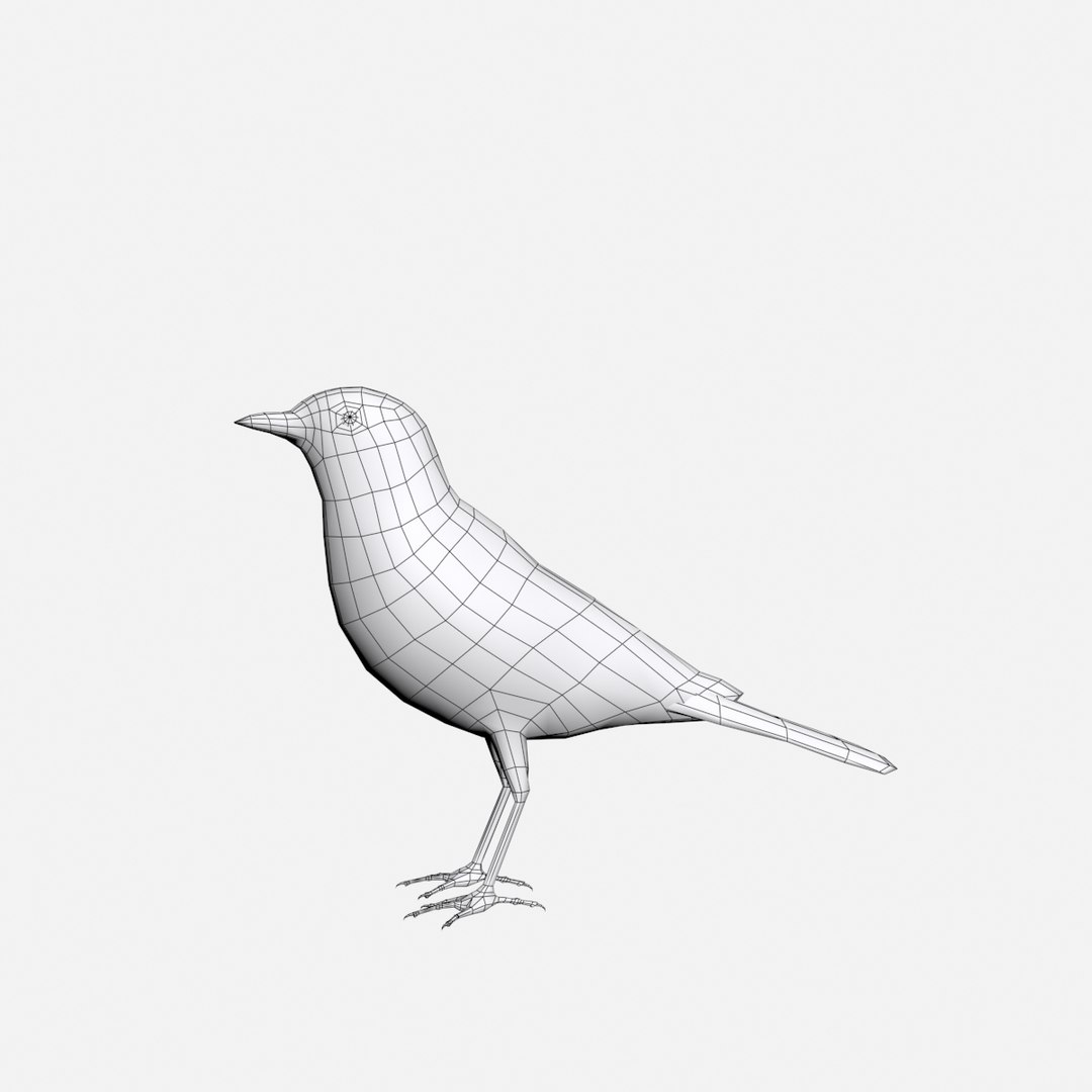 Bird 3d Max