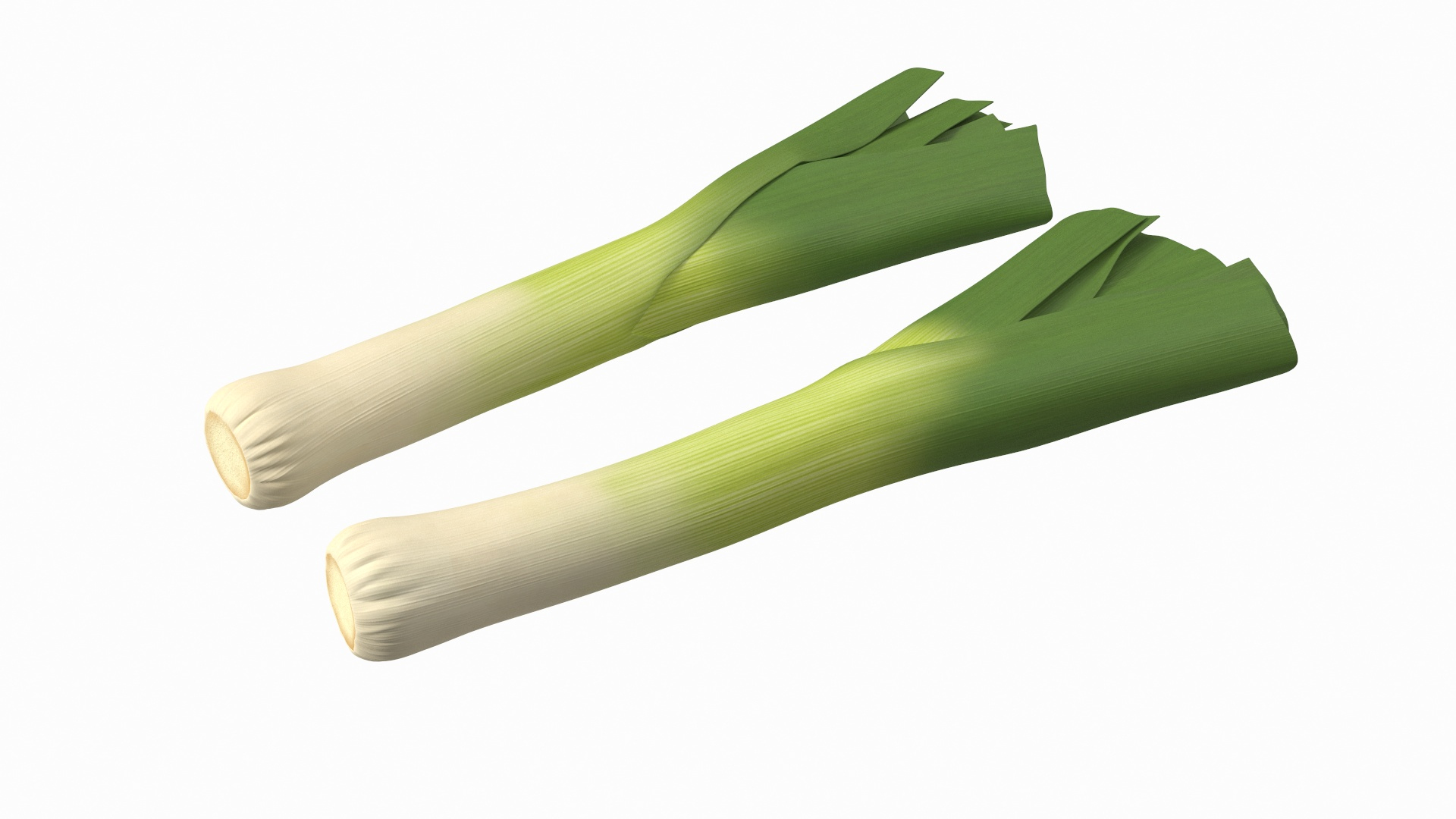 Cleaned And Cuted Leeks 3D - TurboSquid 1769274