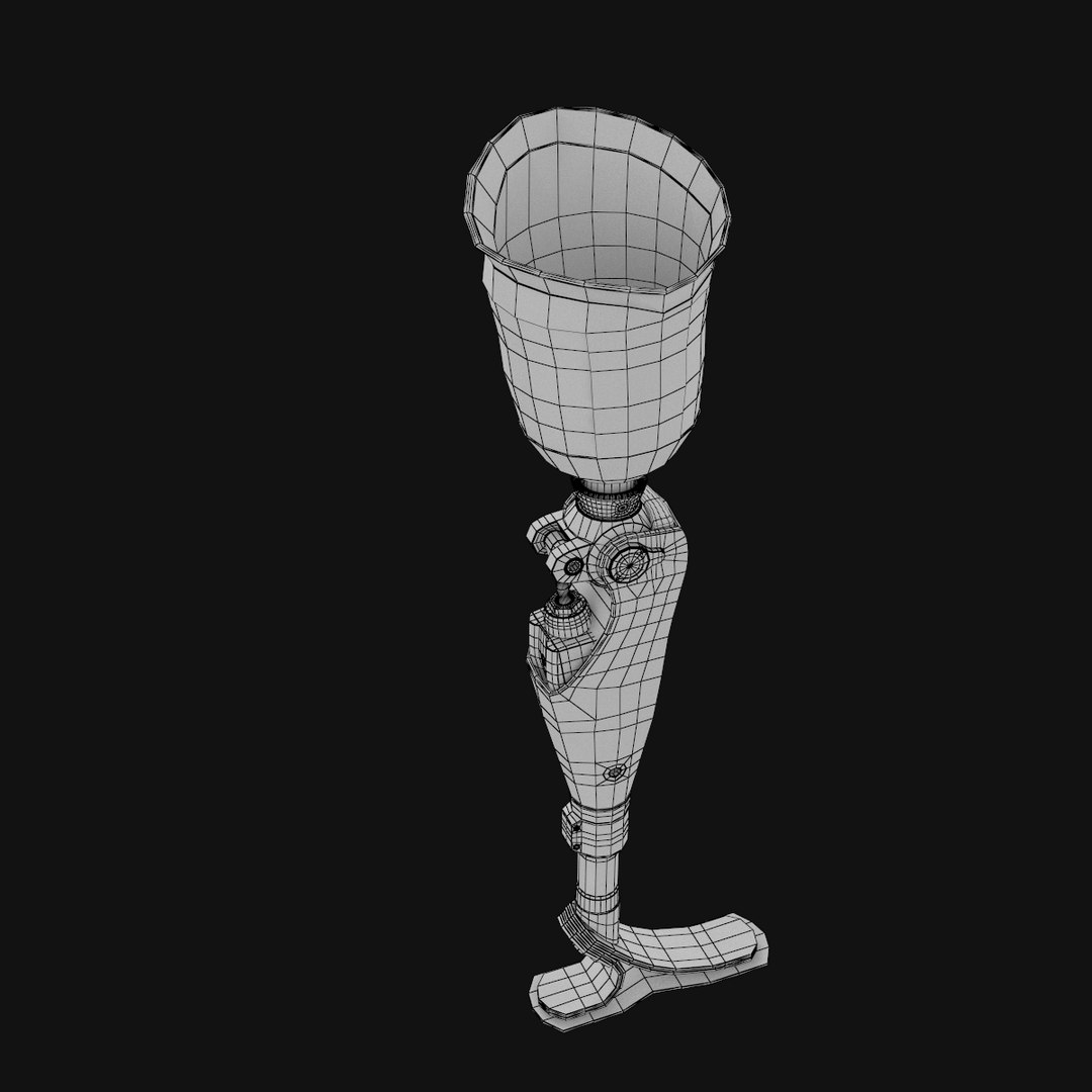 Mechanical Prosthetic Leg Foot 3d Max