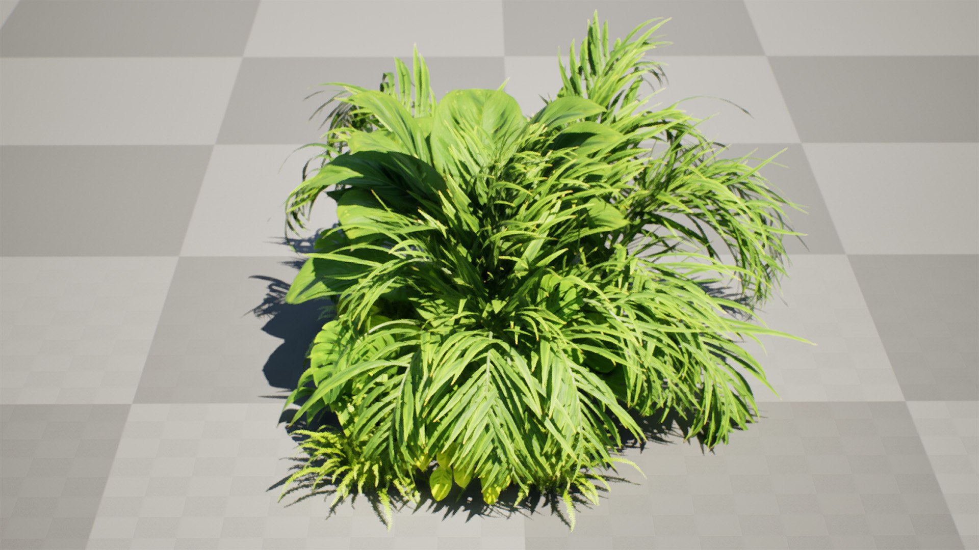 3D Diverse Tropical Foliage 3D Models - TurboSquid 2289744
