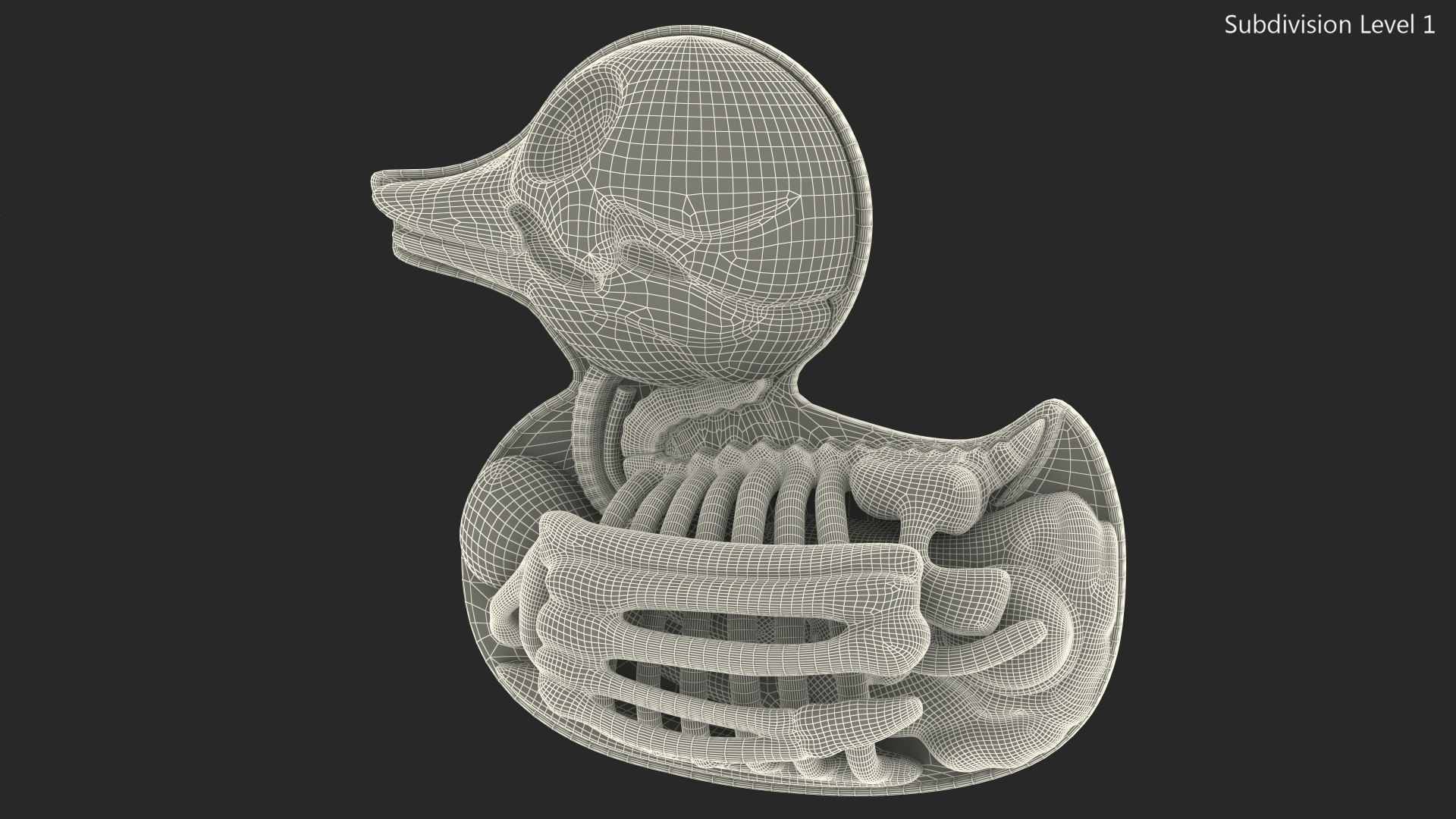 3D Model Bath Duck Anatomy Skeleton - TurboSquid 1839606