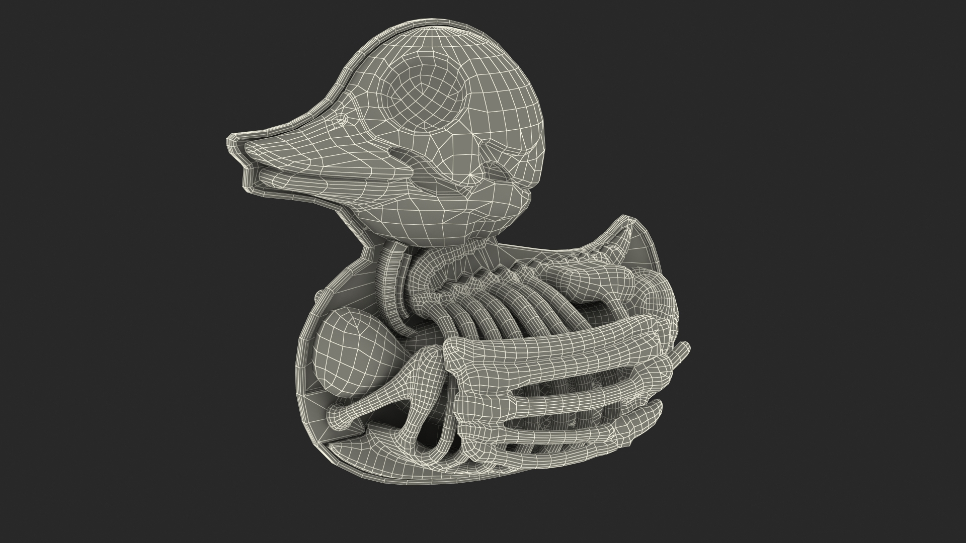 3D Model Bath Duck Anatomy Skeleton - TurboSquid 1839606