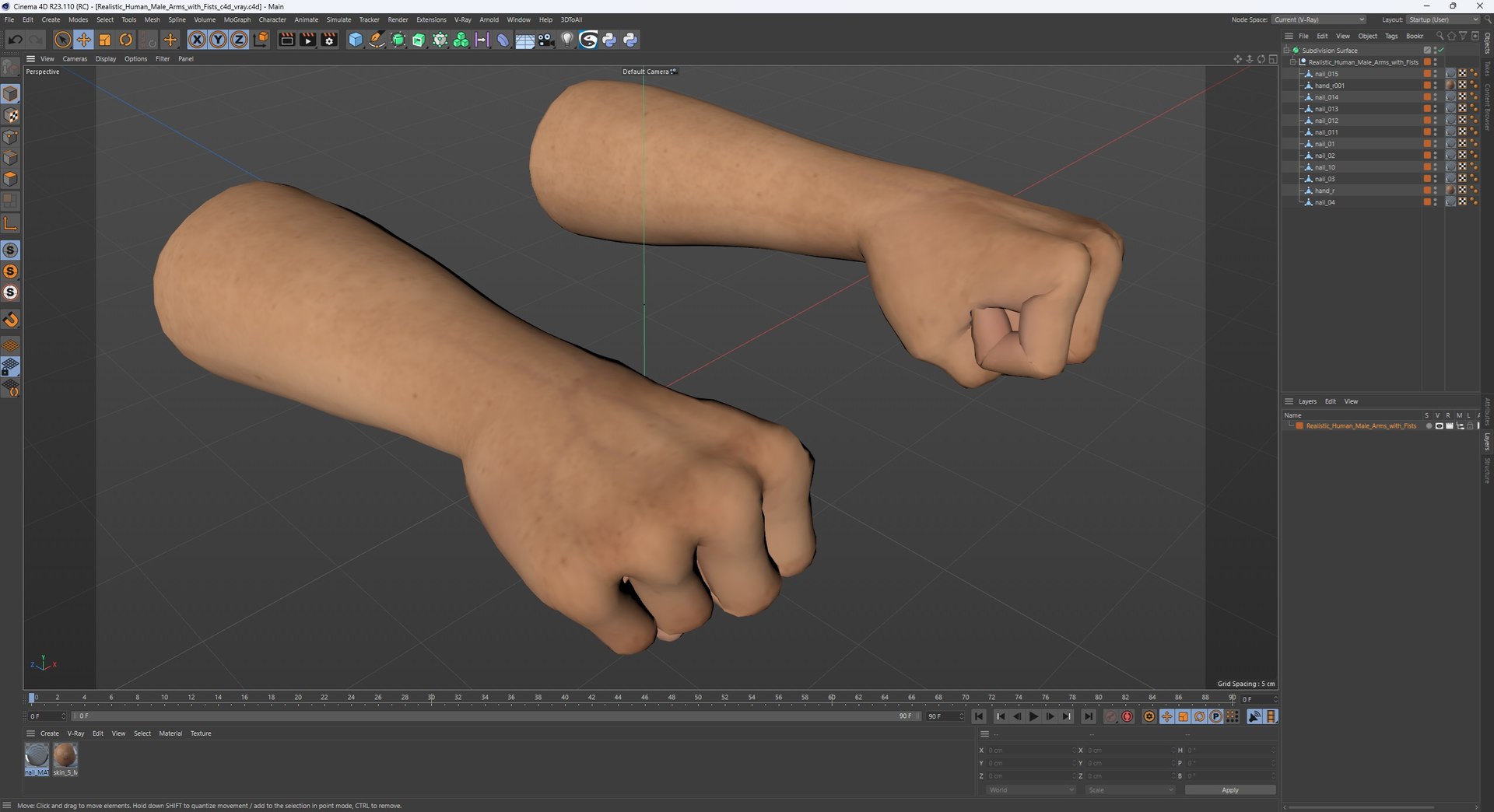 Realistic Human Male Arms With Fists 3D Model - TurboSquid 2325158