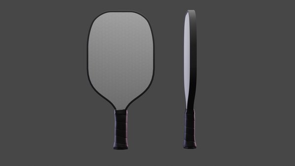 3D Indoor Pickleball model - TurboSquid 2053024