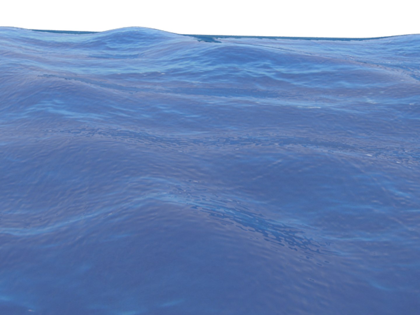 max ocean