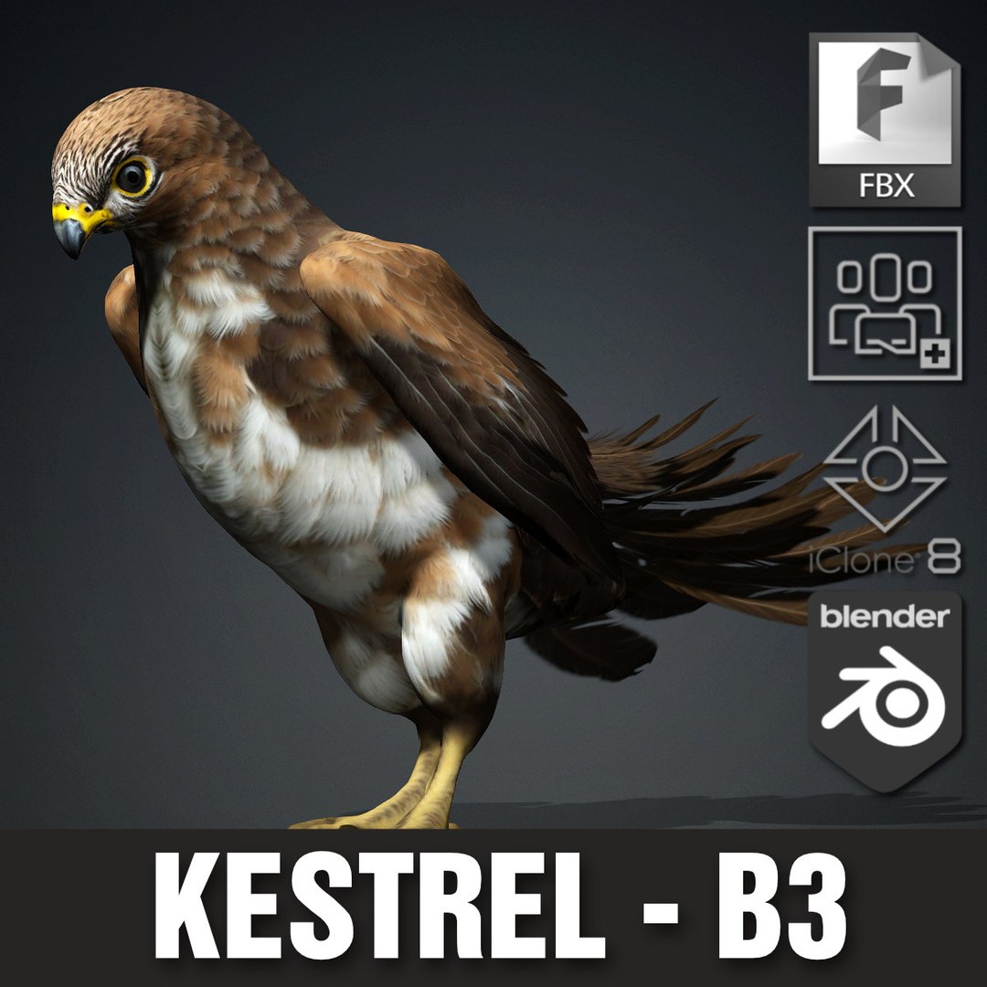Kestrel-B3 Model - TurboSquid 2429461