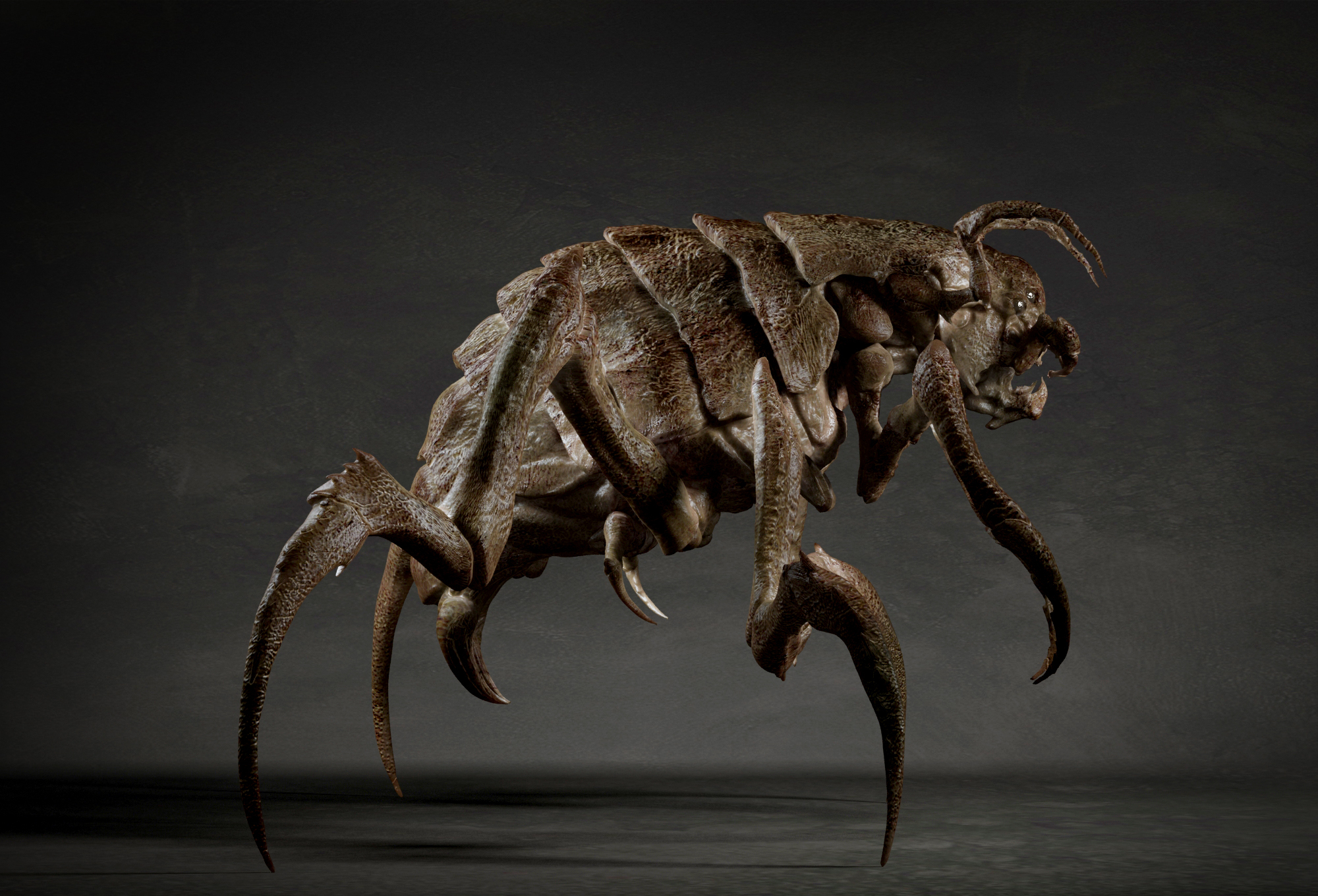 3D model Insectoide creature - TurboSquid 1891775