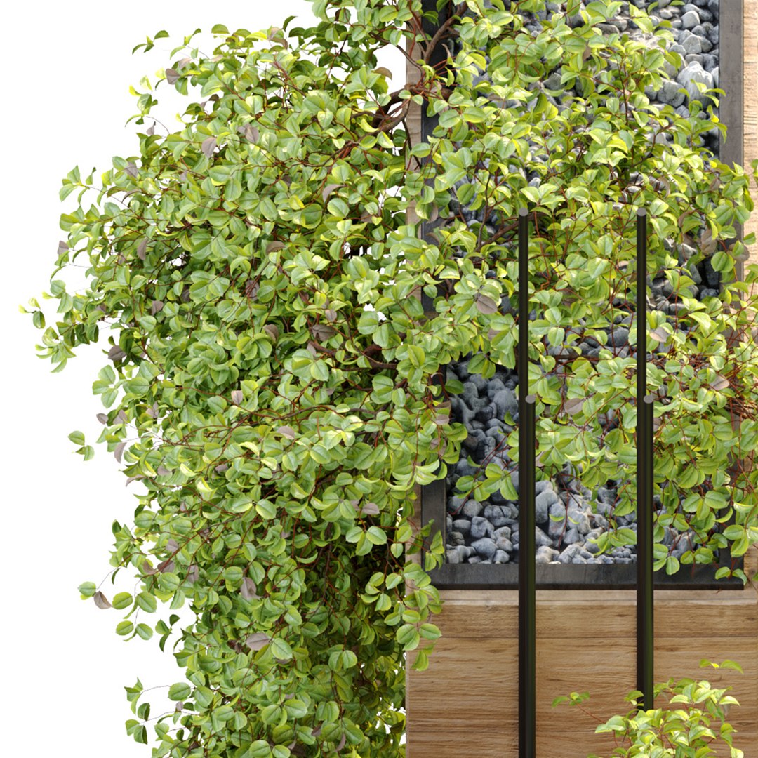 Plant Hanger 3D Model - TurboSquid 1945560