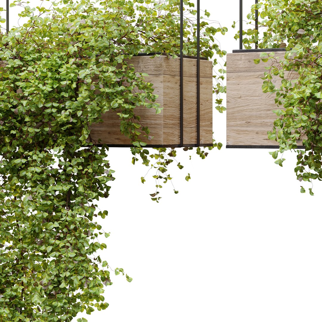 Plant Hanger 3D Model - TurboSquid 1945560