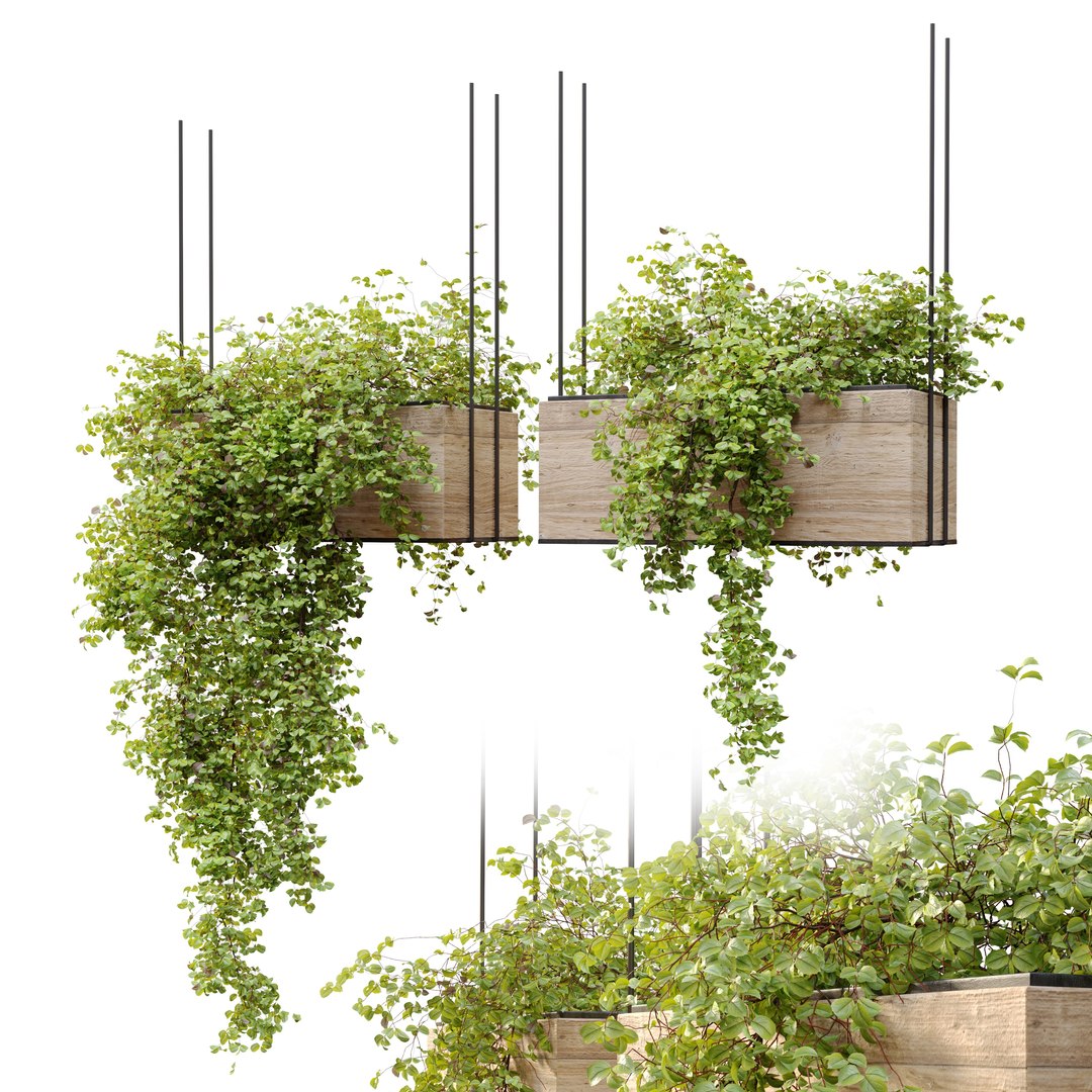 Plant Hanger 3D Model - TurboSquid 1945560