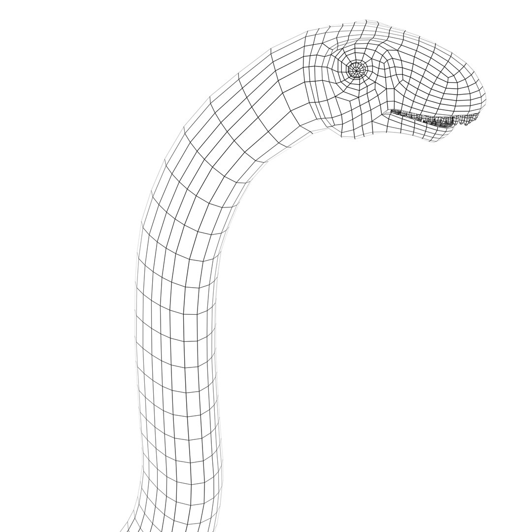 3D model brontosaurus - TurboSquid 1222530