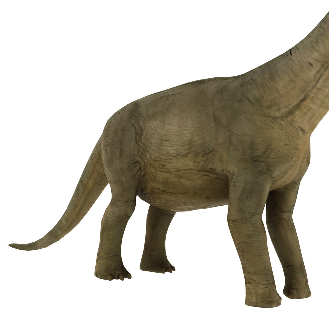 3D model brontosaurus - TurboSquid 1222530