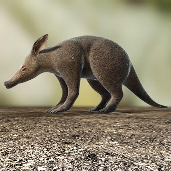 3d max aardvark base normal