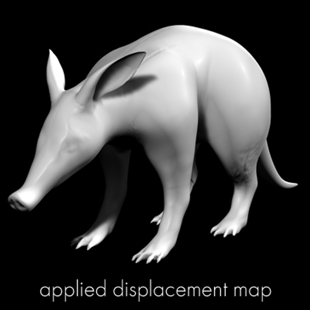 3d Max Aardvark Base Normal