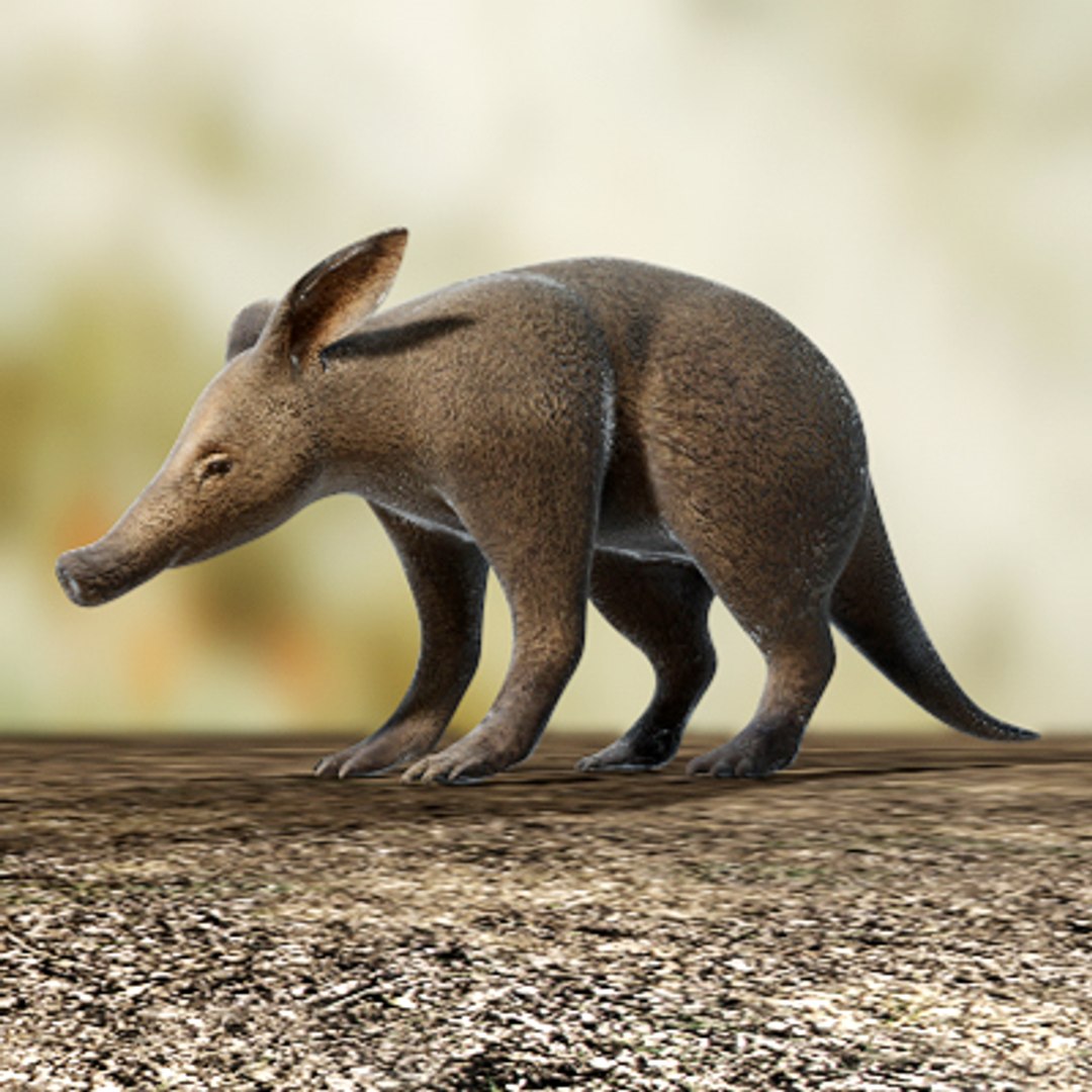 3d Max Aardvark Base Normal