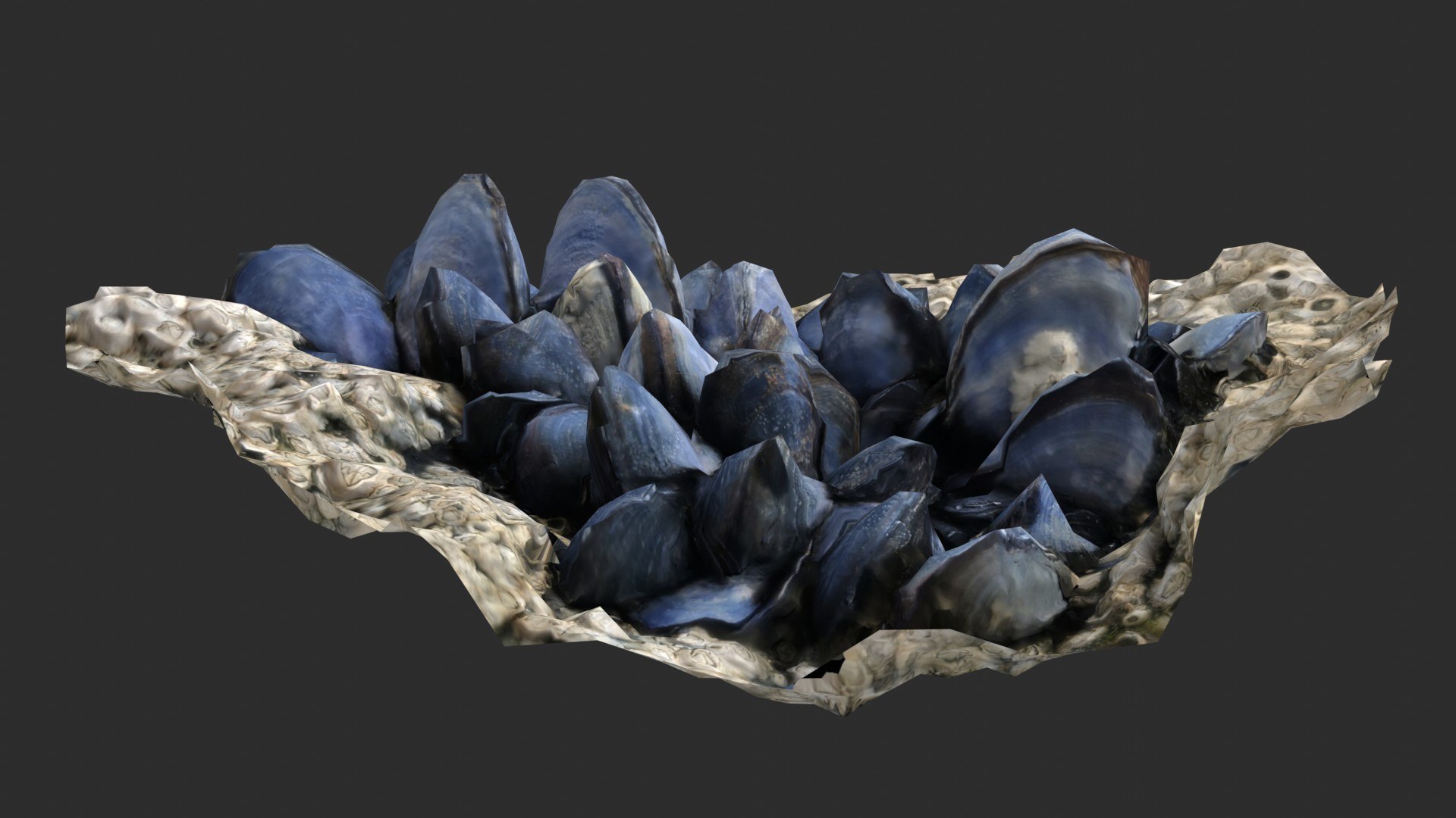 3D Mussels 1 - TurboSquid 1786410