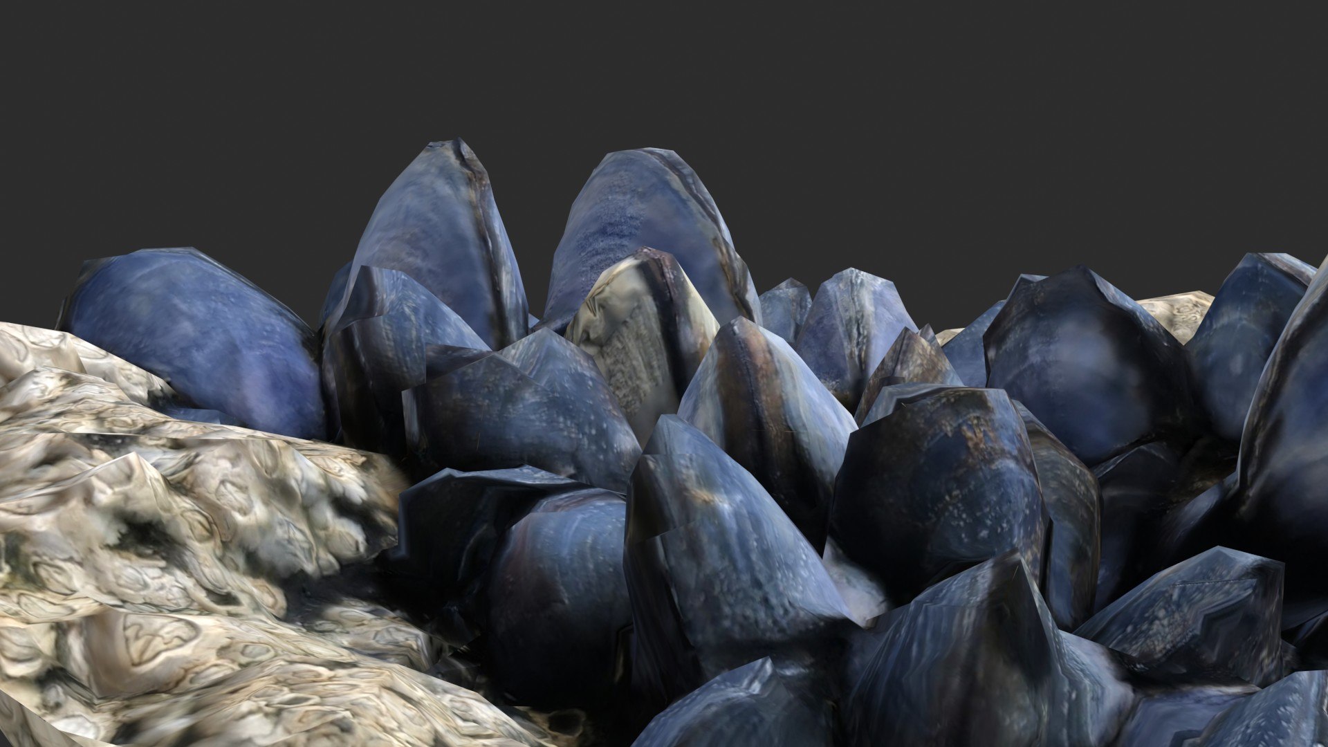 3D Mussels 1 - TurboSquid 1786410