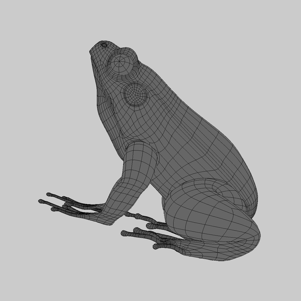 photorealistic green frog 3d model