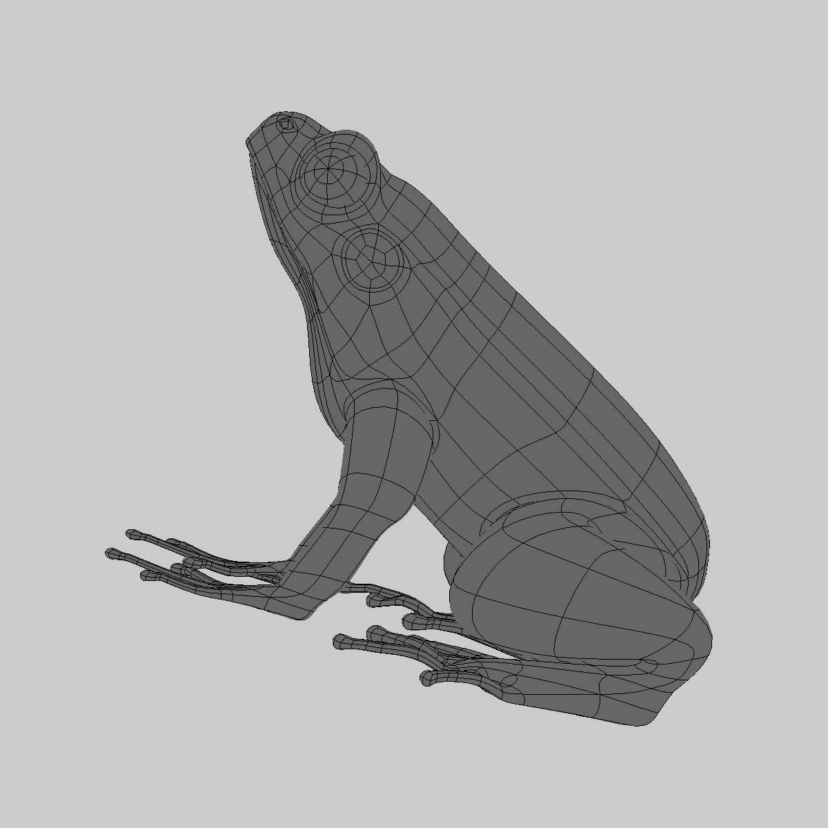 photorealistic green frog 3d model