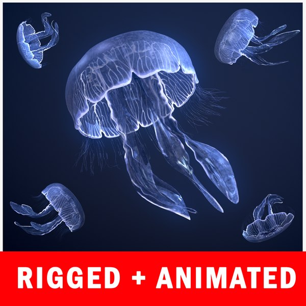 modelo 3d Medusa lunar manipulada animada - TurboSquid 2314682