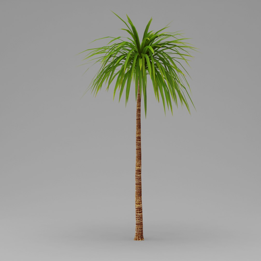 3d Palm 010 Model