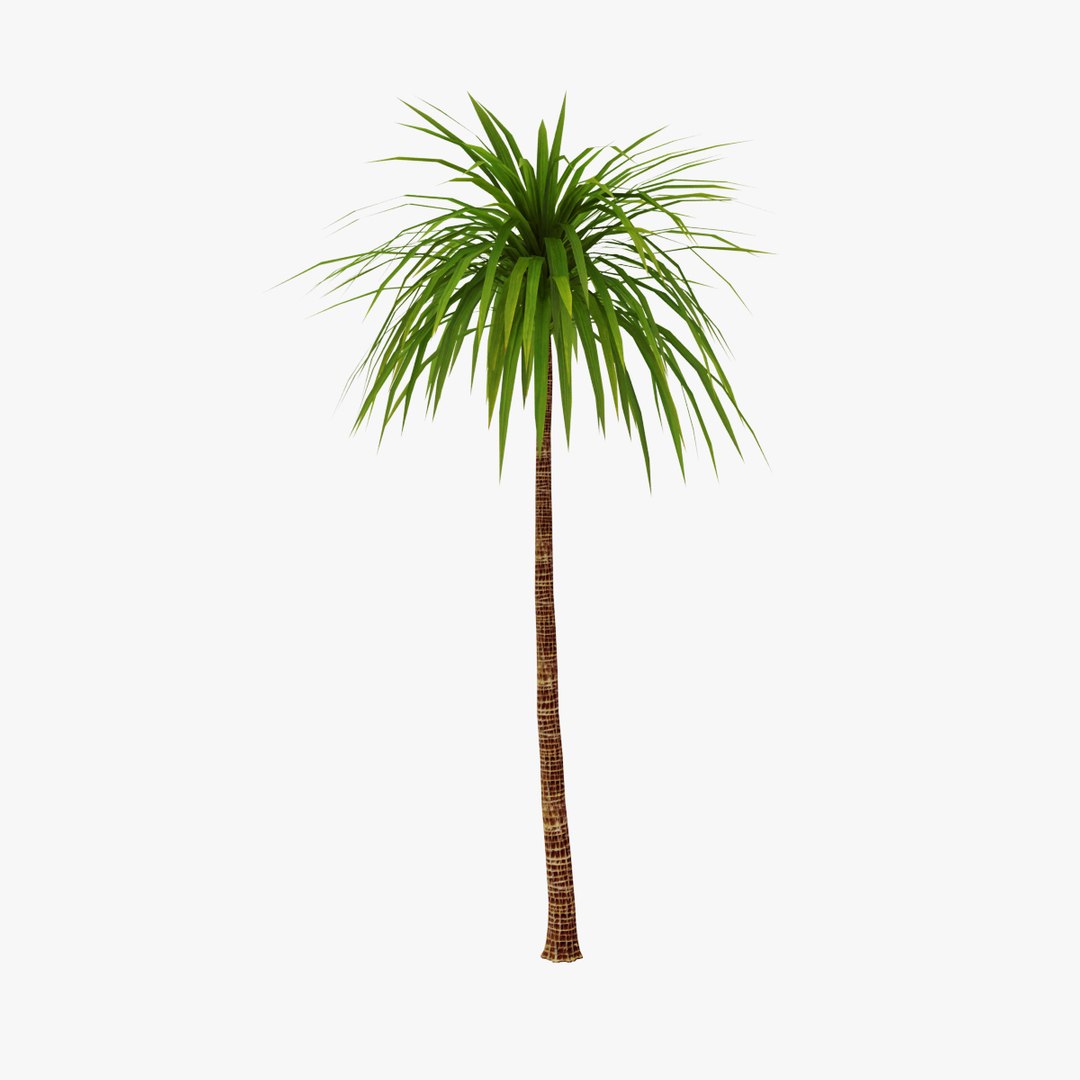 3d Palm 010 Model