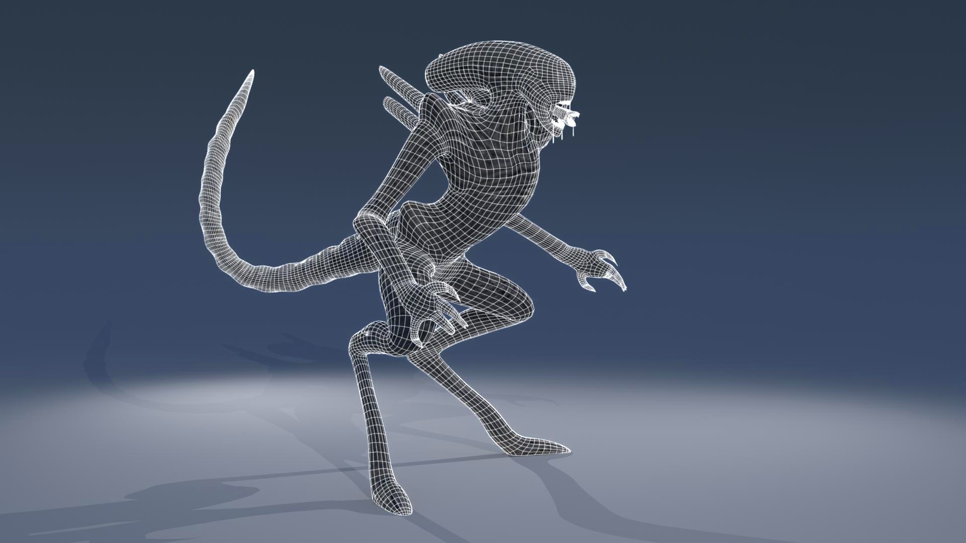 Alien Xenomorph 3d Model