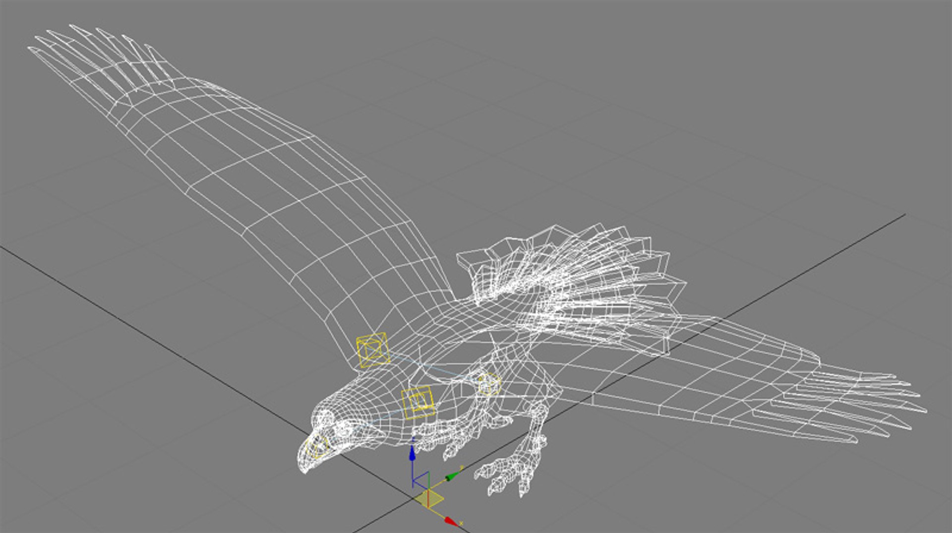 3d Bald Eagle Model