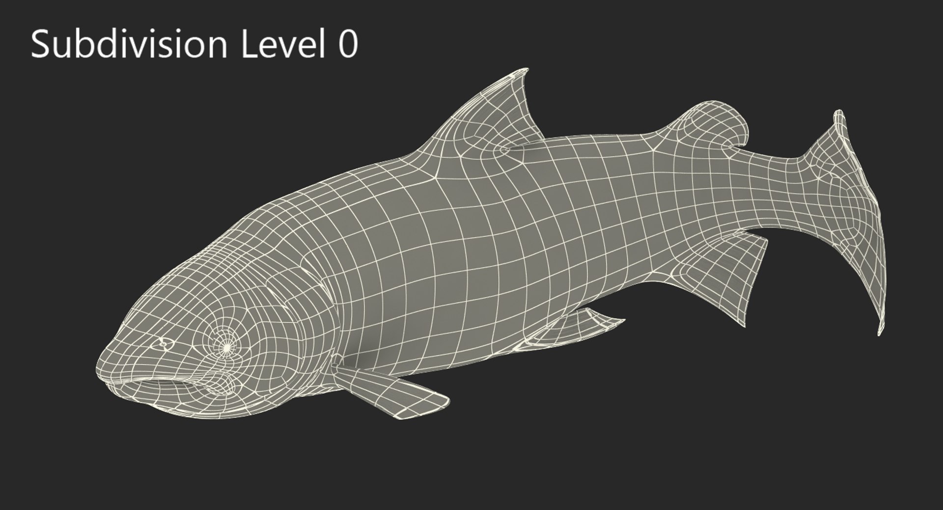 3d Atlantic Salmon Fish Swimming Model