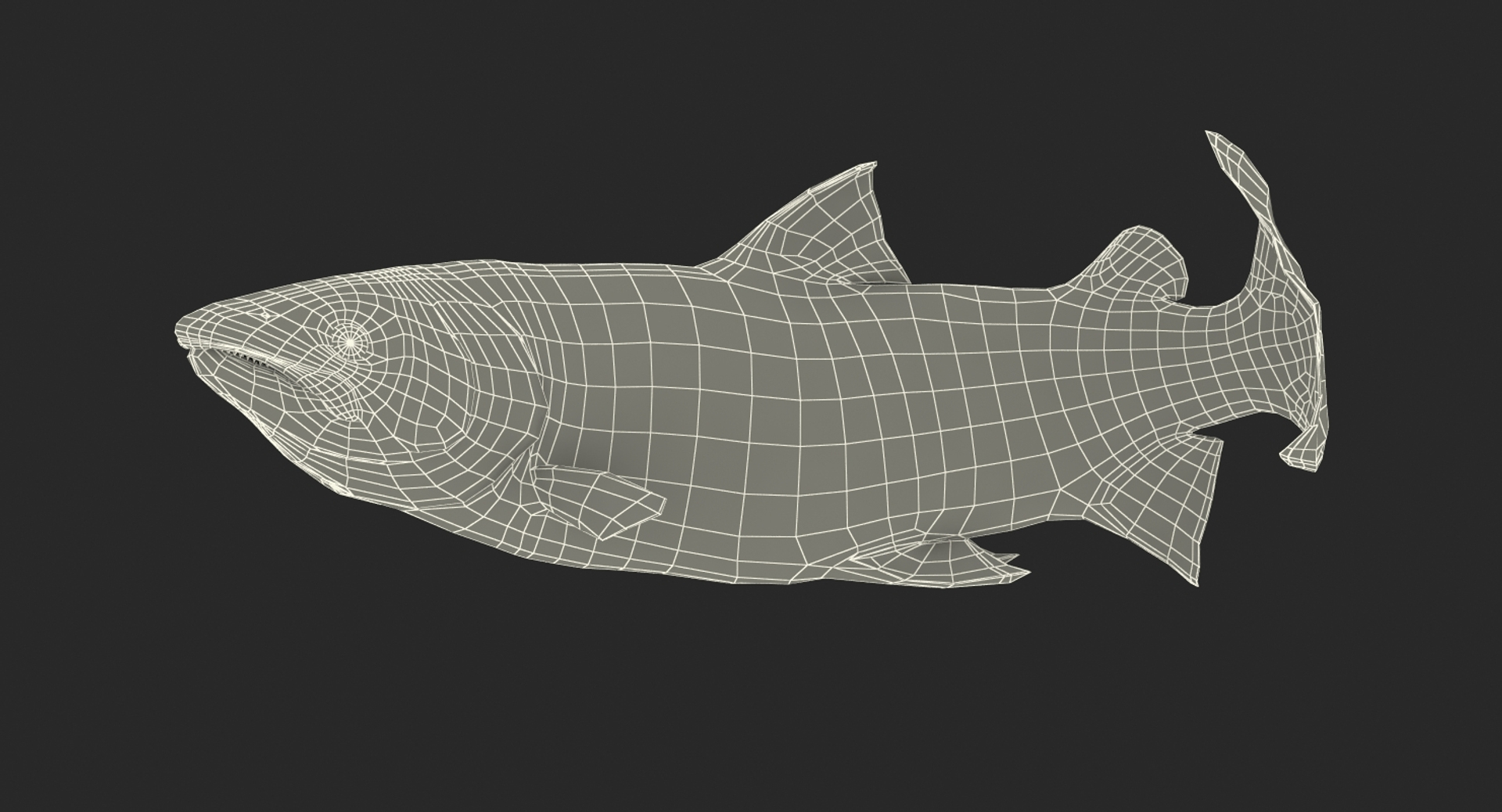 3d Atlantic Salmon Fish Swimming Model
